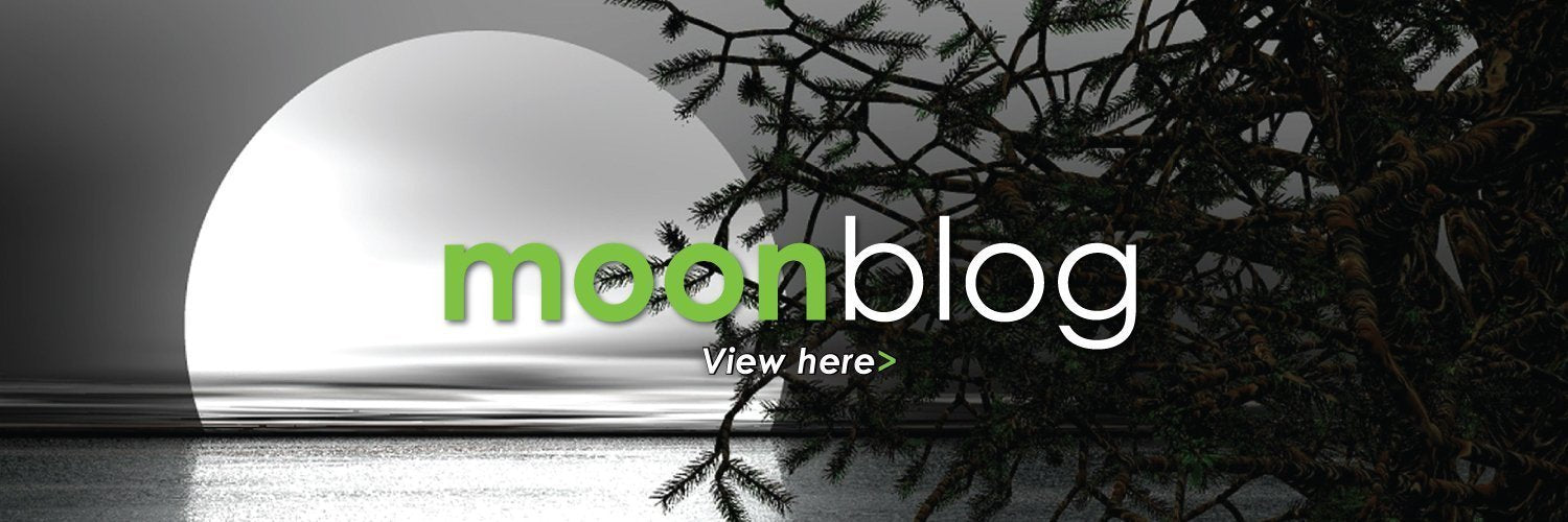 'FALL' in Love with Our 2 New Pieces... – Moonglow Australia